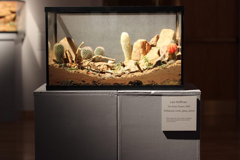 Custom 10-gallon Desert Terrarium – Arid Landscape Vivarium – Succulent ...