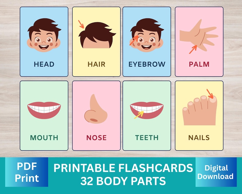 32 Body Parts Flashcards, Printable Montessori Flash Cards, Pre-school ...