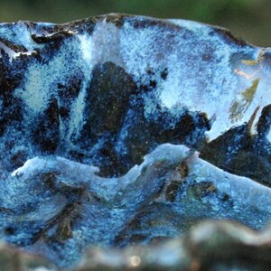 Tide Pool Soap Dish, Item 6701 - Etsy