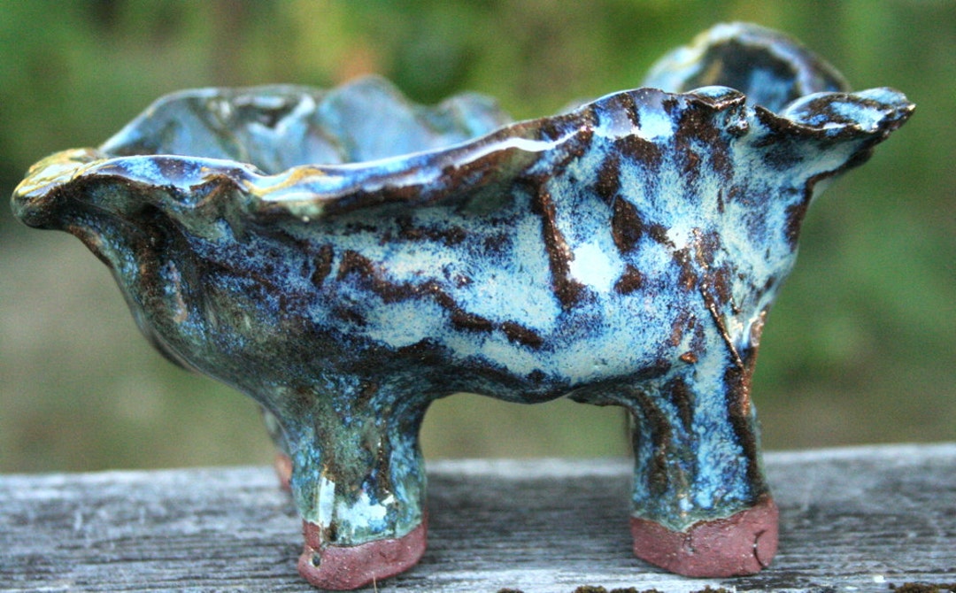 Tide Pool Soap Dish, Item 6701 - Etsy