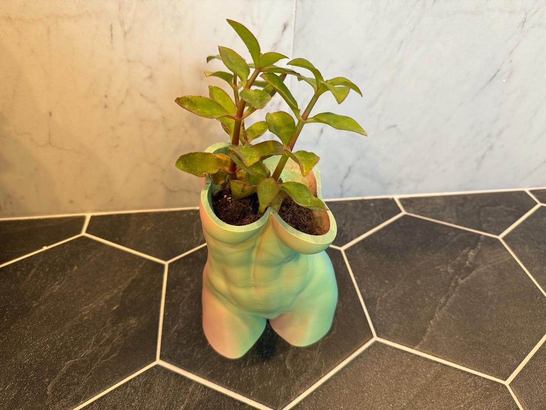 Female Torso Planter | Female Body Succulent Pot | Unique Planter ...