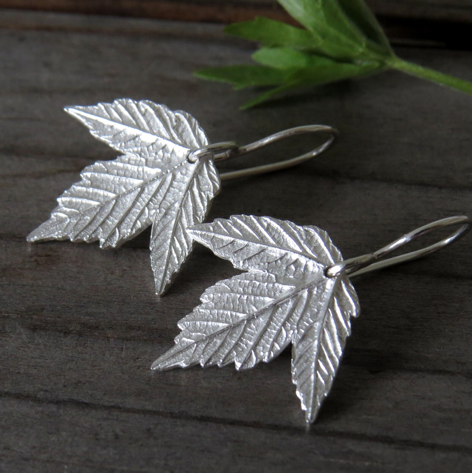 Maple Leaf Earrings Real Leaf Earrings Real Flower Jewelry - Etsy