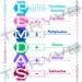 Printable Math Reference Sheets – Order of Operations & Math Vocabulary ...