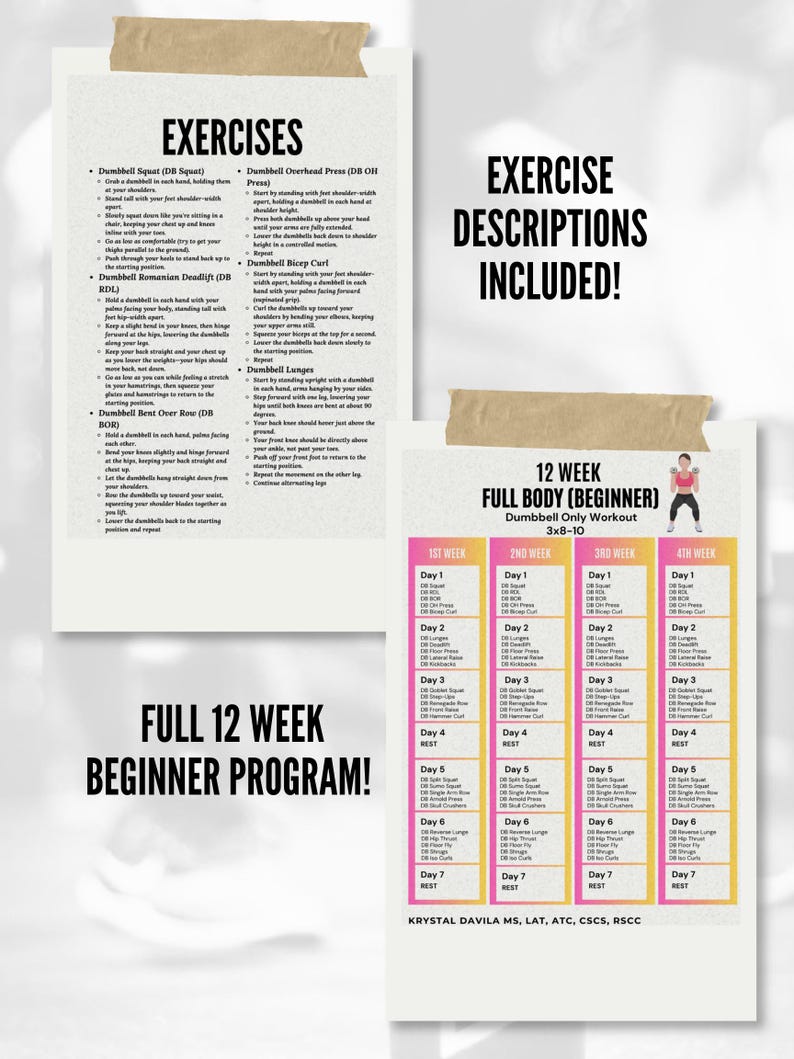 12 Week Dumbbell Only Full Body Workout Program. Beginner, Easy to ...