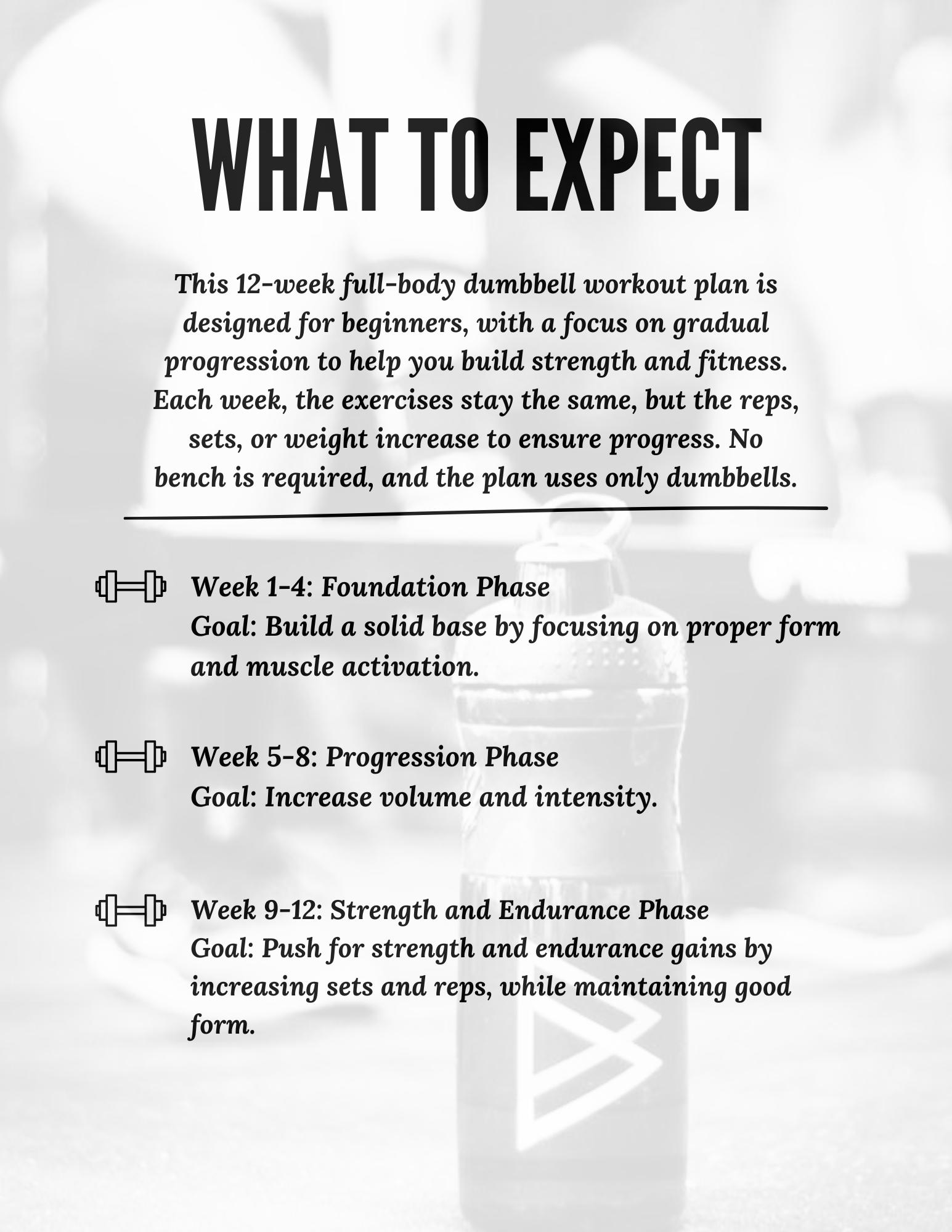 12 Week Dumbbell Only Full Body Workout Program. Beginner, Easy to ...