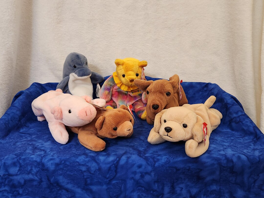 Beanie Baby Echo the Dolphin Jem Nose November Birthday Bear Weenie the ...