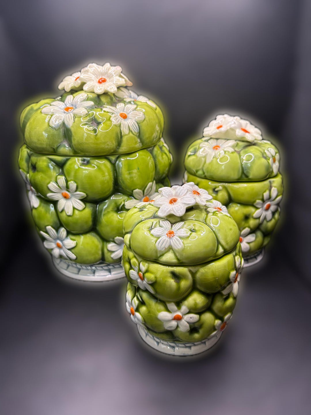 Inarco Green Apple and Daisy Canister Set - Etsy