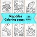 Printable Reptile Animals Coloring Books – Reptile Coloring Sheets ...