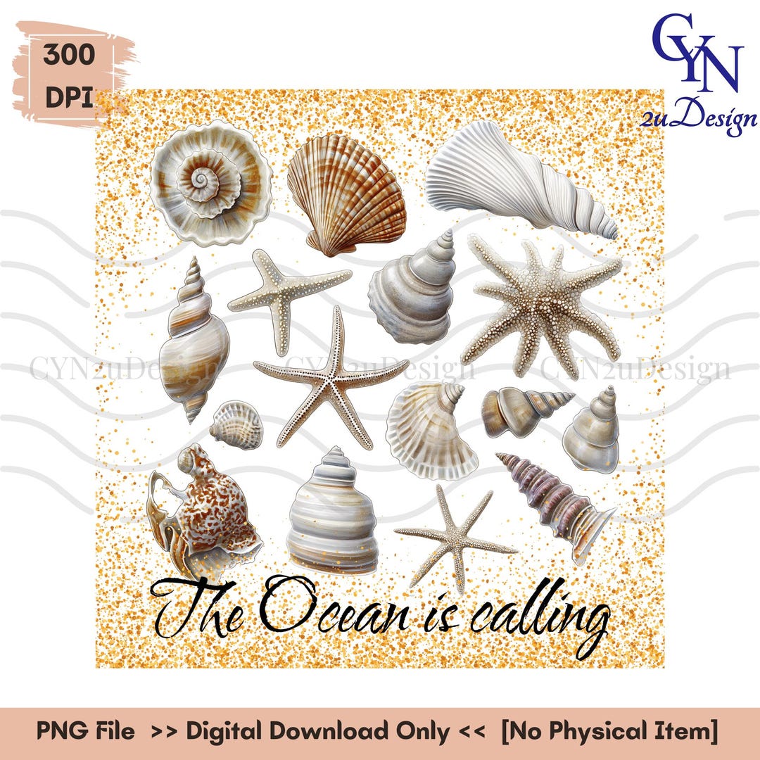 Aquarell Muscheln PNG: Nautische Clipart, Küsten Kunst (Digitaler ...