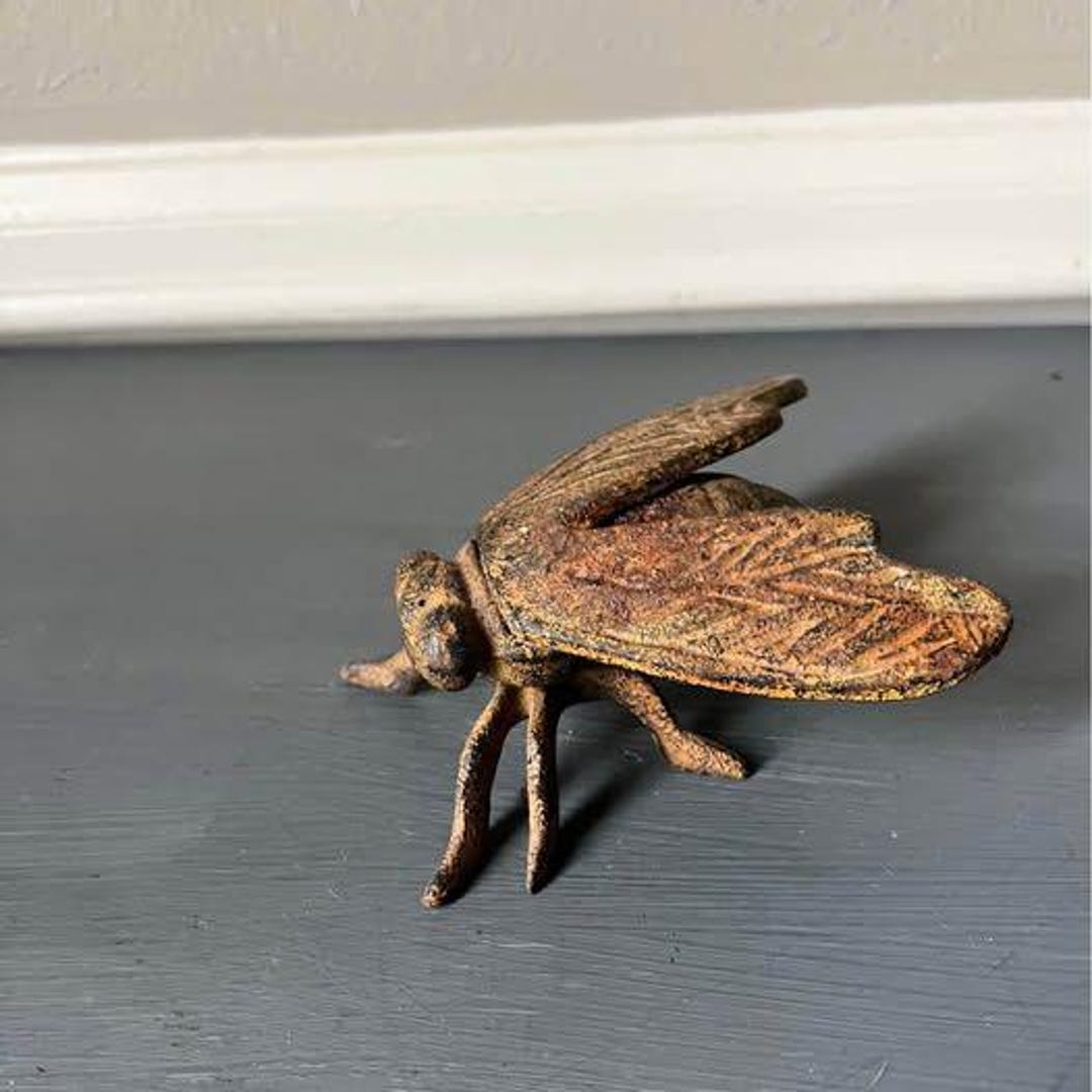Vintage Cast Iron Fly - Etsy