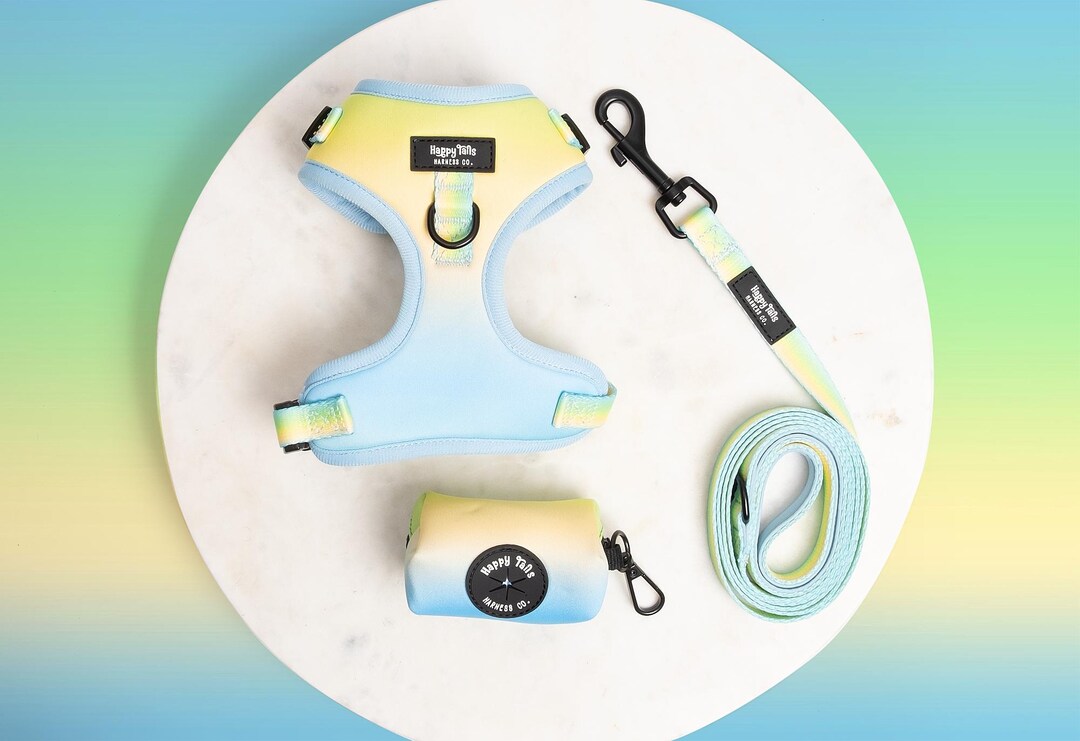 Pastel Breeze Dog Walking Set – Harness, Leash & Poop Bag Holder | XXS ...