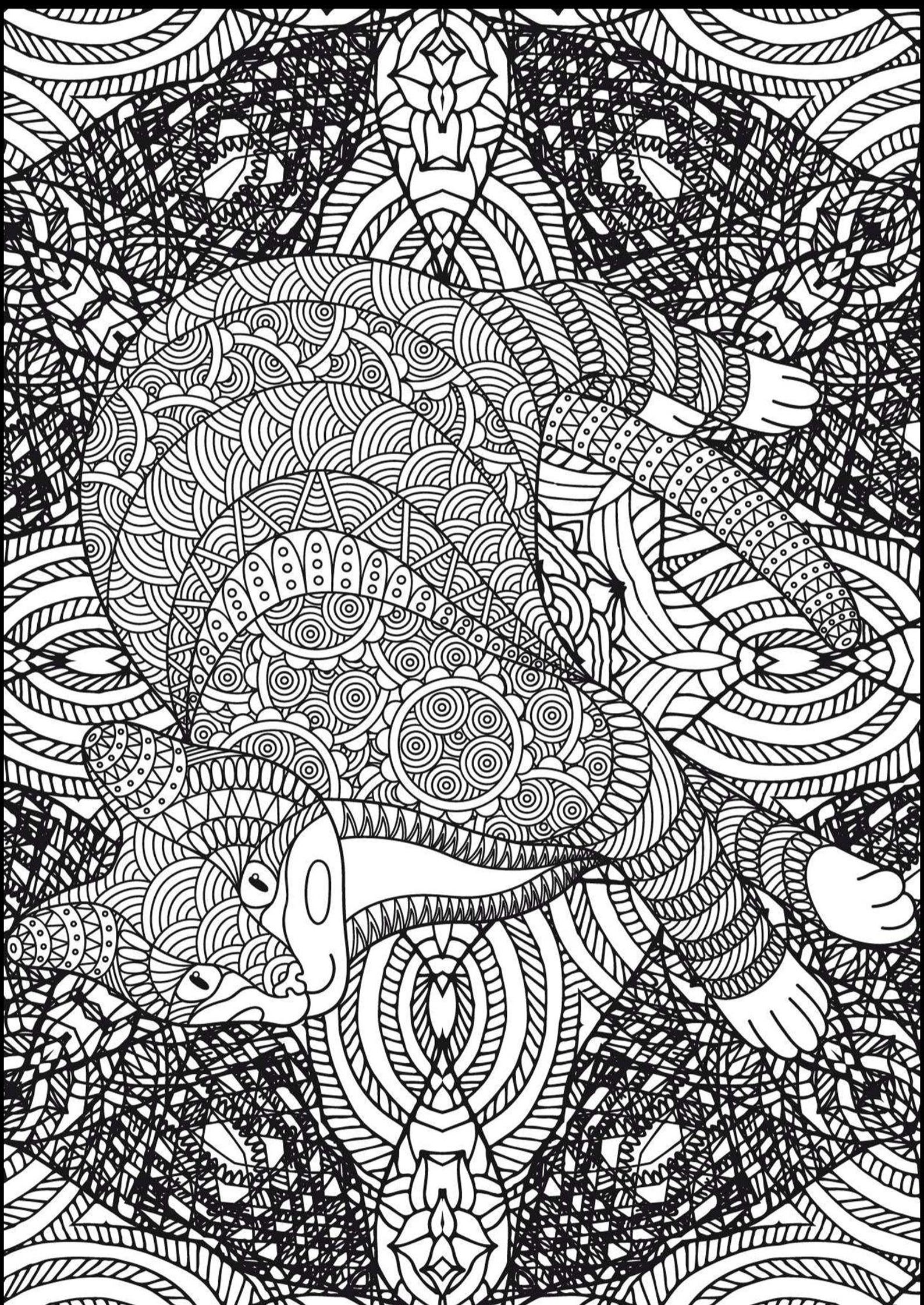36 Mandala Cats Coloring Pages for Kids and Adults. Cat Breeds Mandala ...