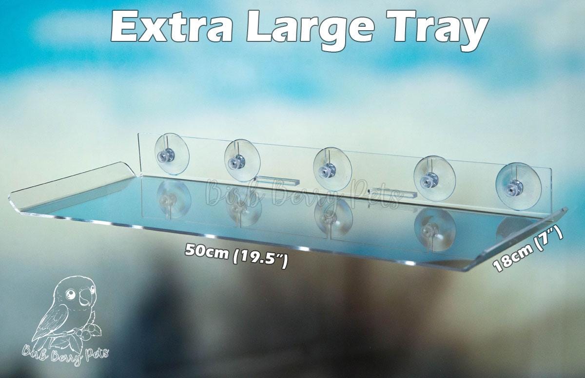 Bird Poop Tray for Parrots & Pet Birds – Acrylic Suction Cup Window ...