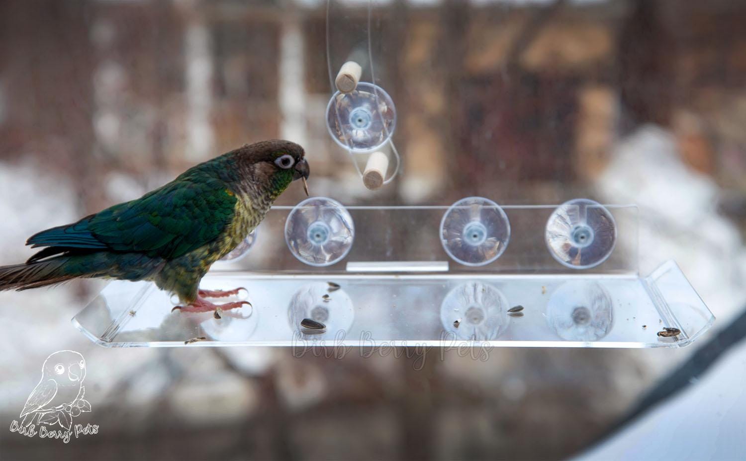 Bird Poop Tray for Parrots & Pet Birds – Acrylic Suction Cup Window ...