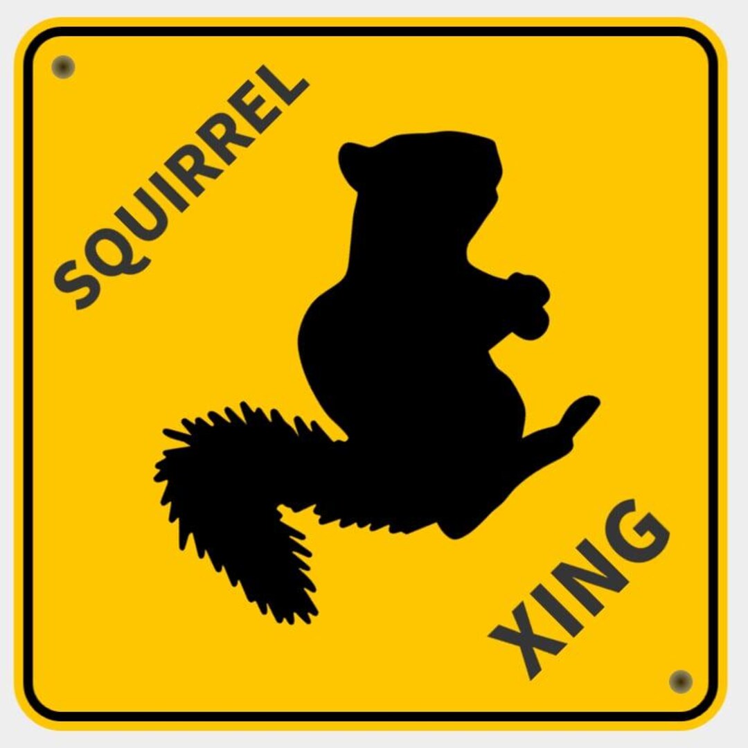 Squirrel Xing Crossing Squirrels Sign Animal Safety Vibrant Yellow With ...