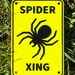 Spider Xing Warning for Arachnophobia Halloween Decor Sign in Vibrant ...