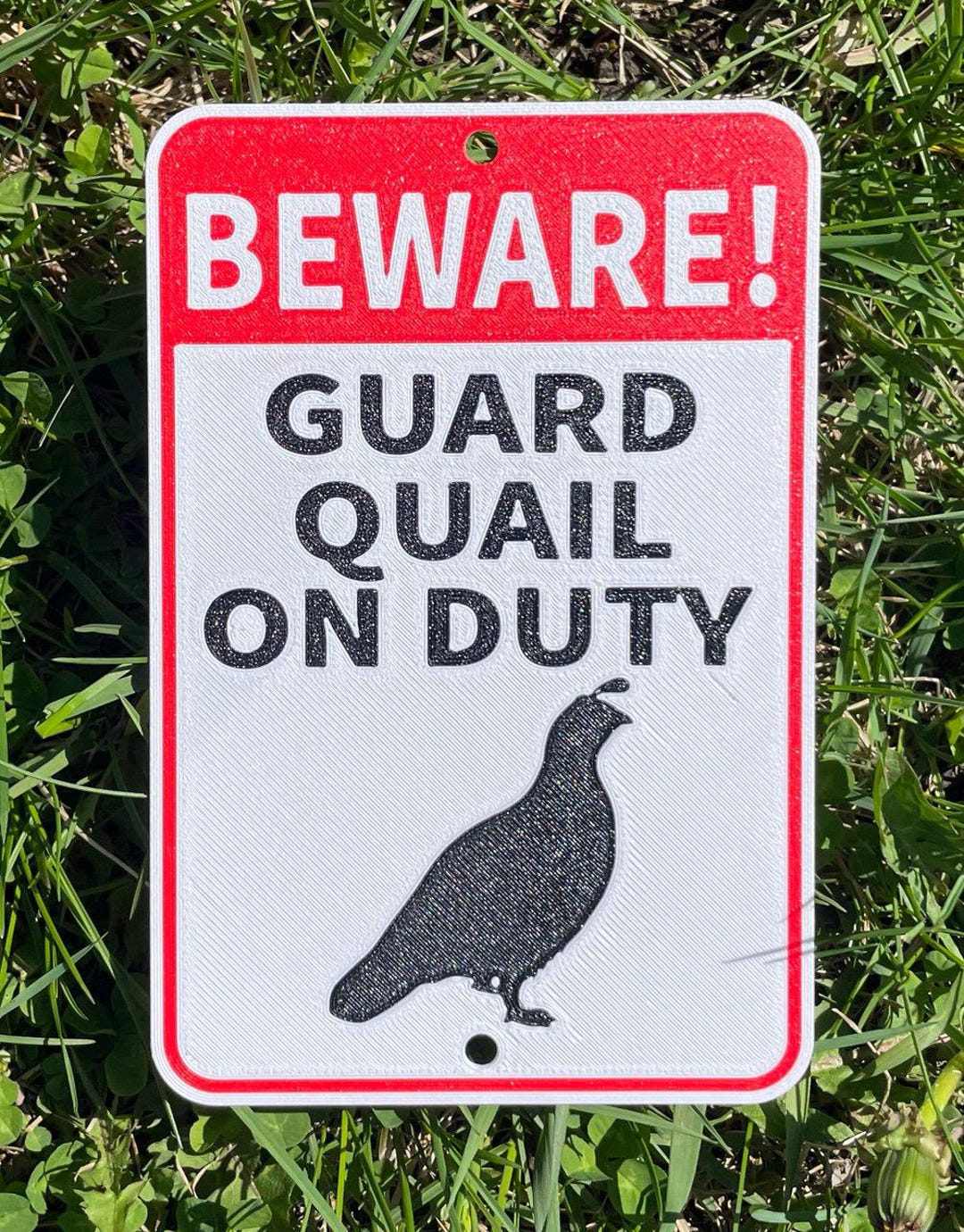 Beware Guard Quail on Duty Funny Sign Warning Vibrant Red and White ...