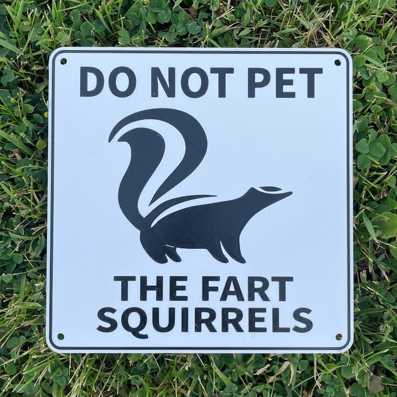Funny Skunk Signs - Etsy UK