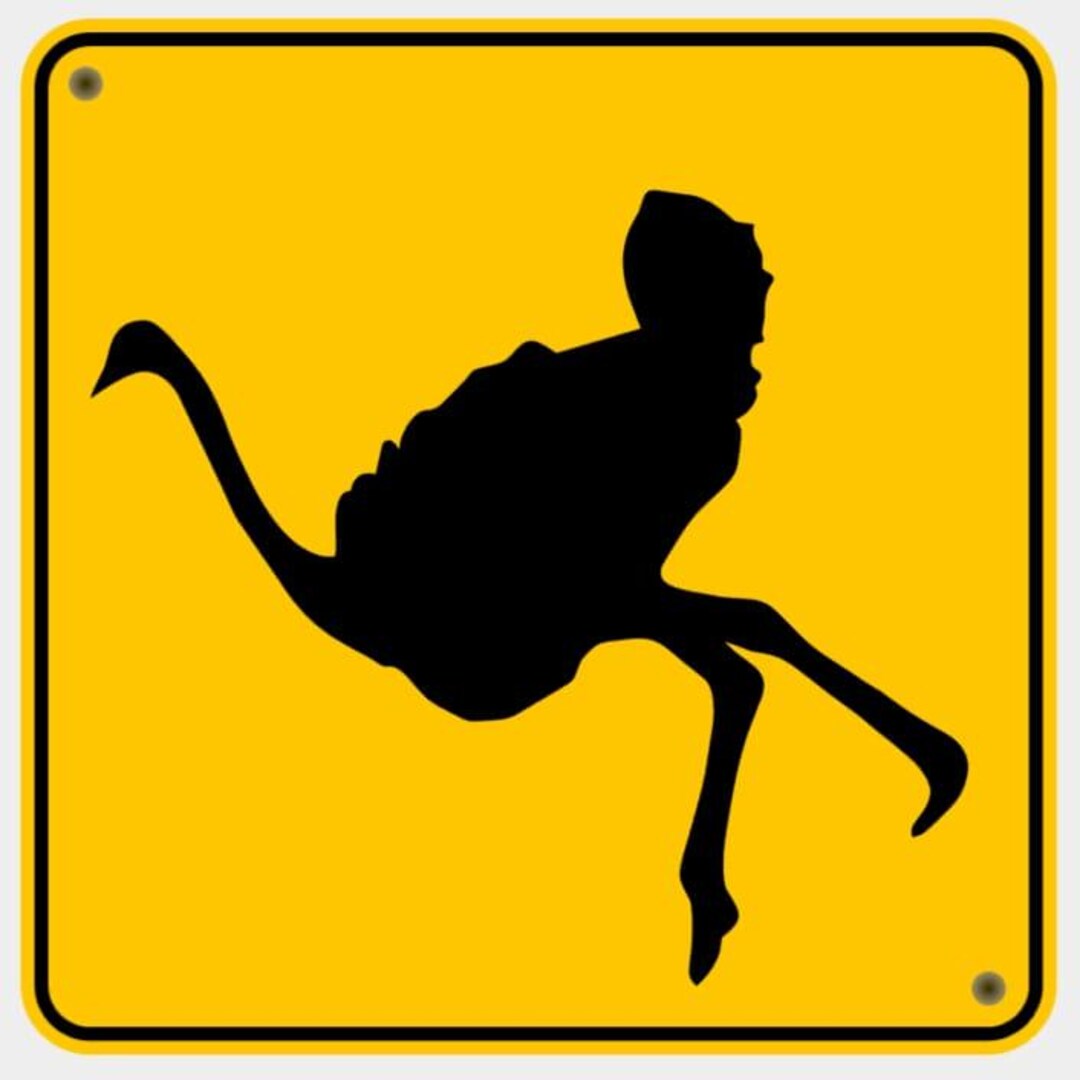 Ostrich Crossing Walk Symbol Animal Road Novelty Sign in Vibrant Yellow ...