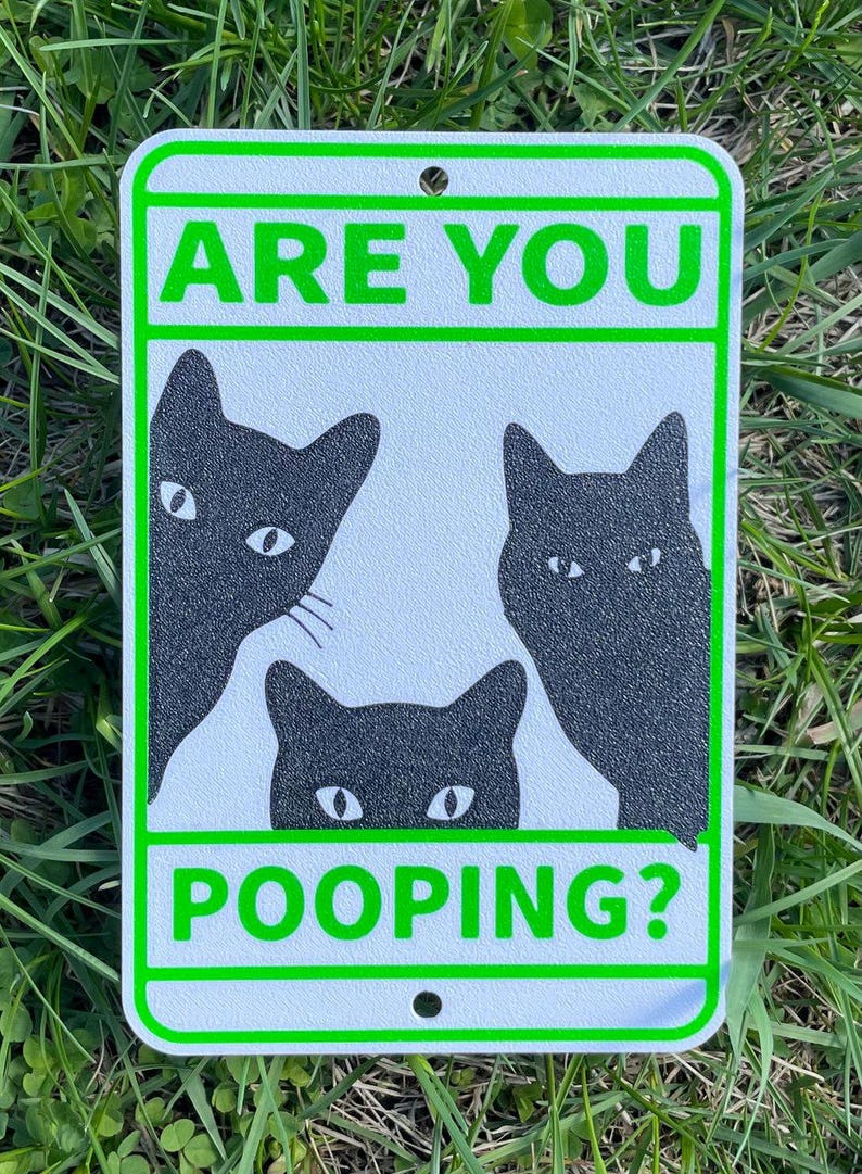 Are You Pooping Sign Cat Spying Decor Funny Bathroom White With Green ...