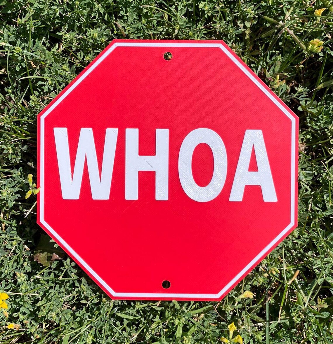 WHOA Stop Traffic Road Wall Décor Novelty Street Notice Sign in Vibrant ...