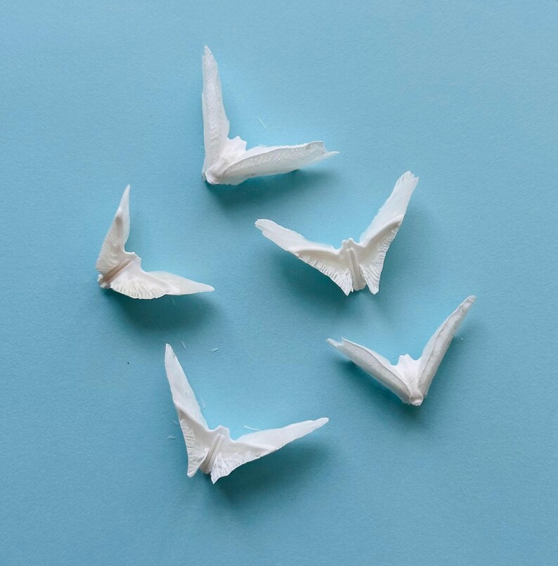 Sand Dollar Doves - Peace Doves - Extra Large Doves - Wedding Favors ...