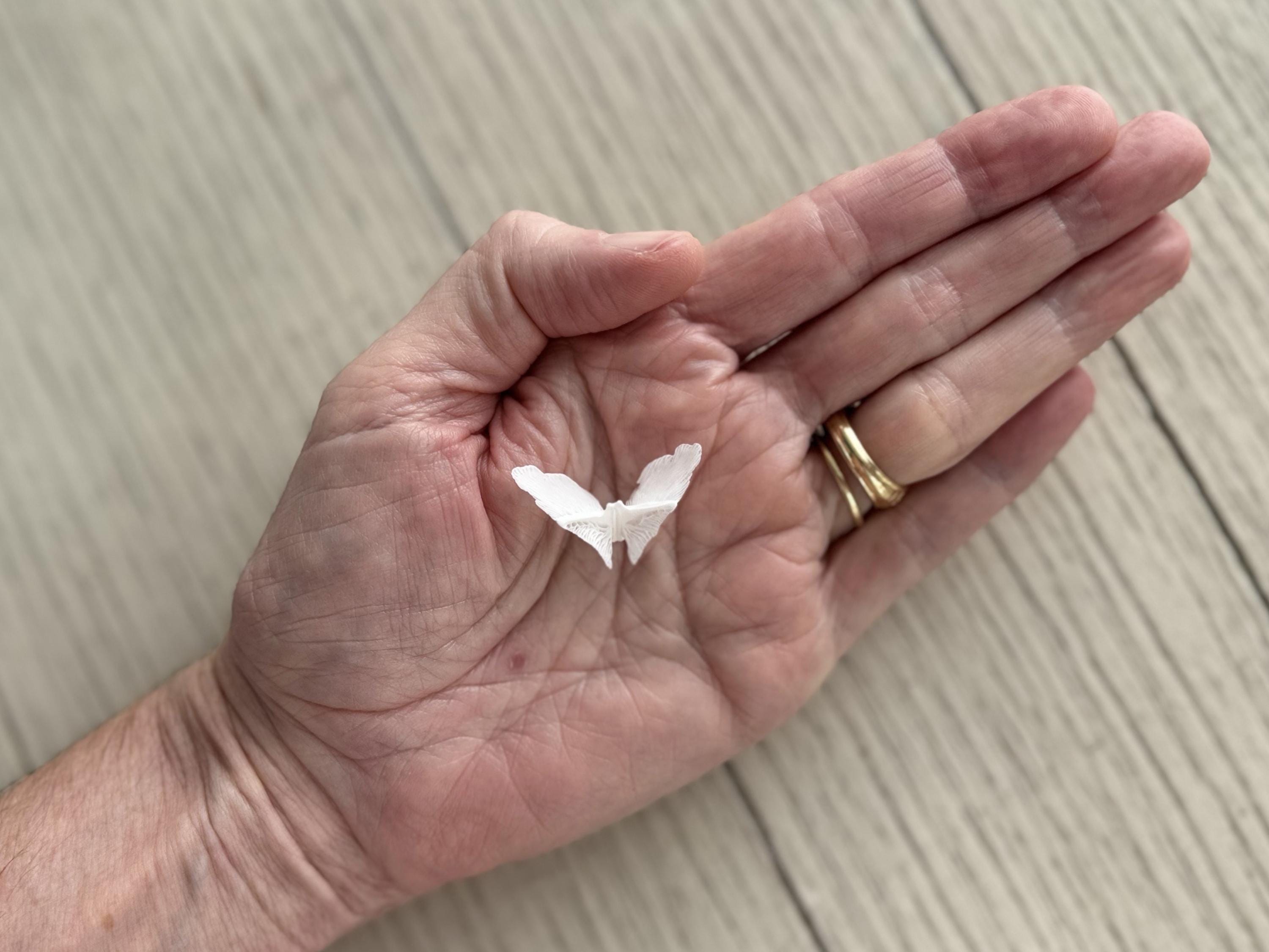 Sand Dollar Doves - Peace Doves - Extra Large Doves - Wedding Favors ...