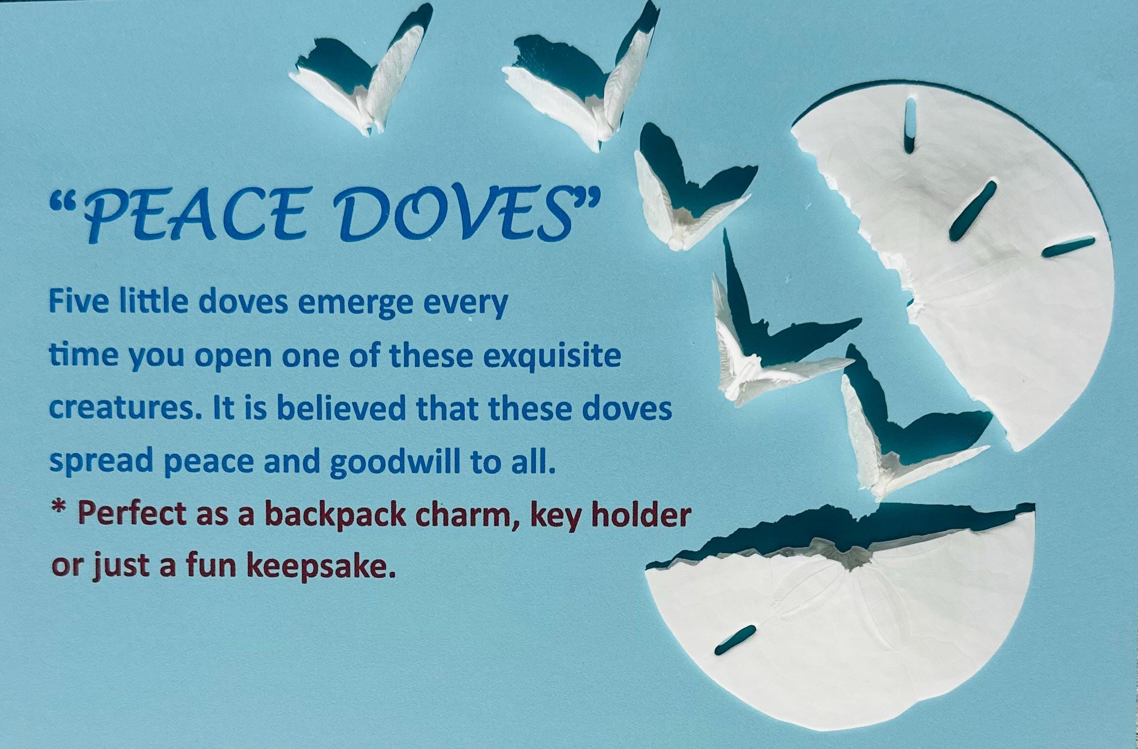 Sand Dollar Doves - Peace Doves - Extra Large Doves - Wedding Favors ...