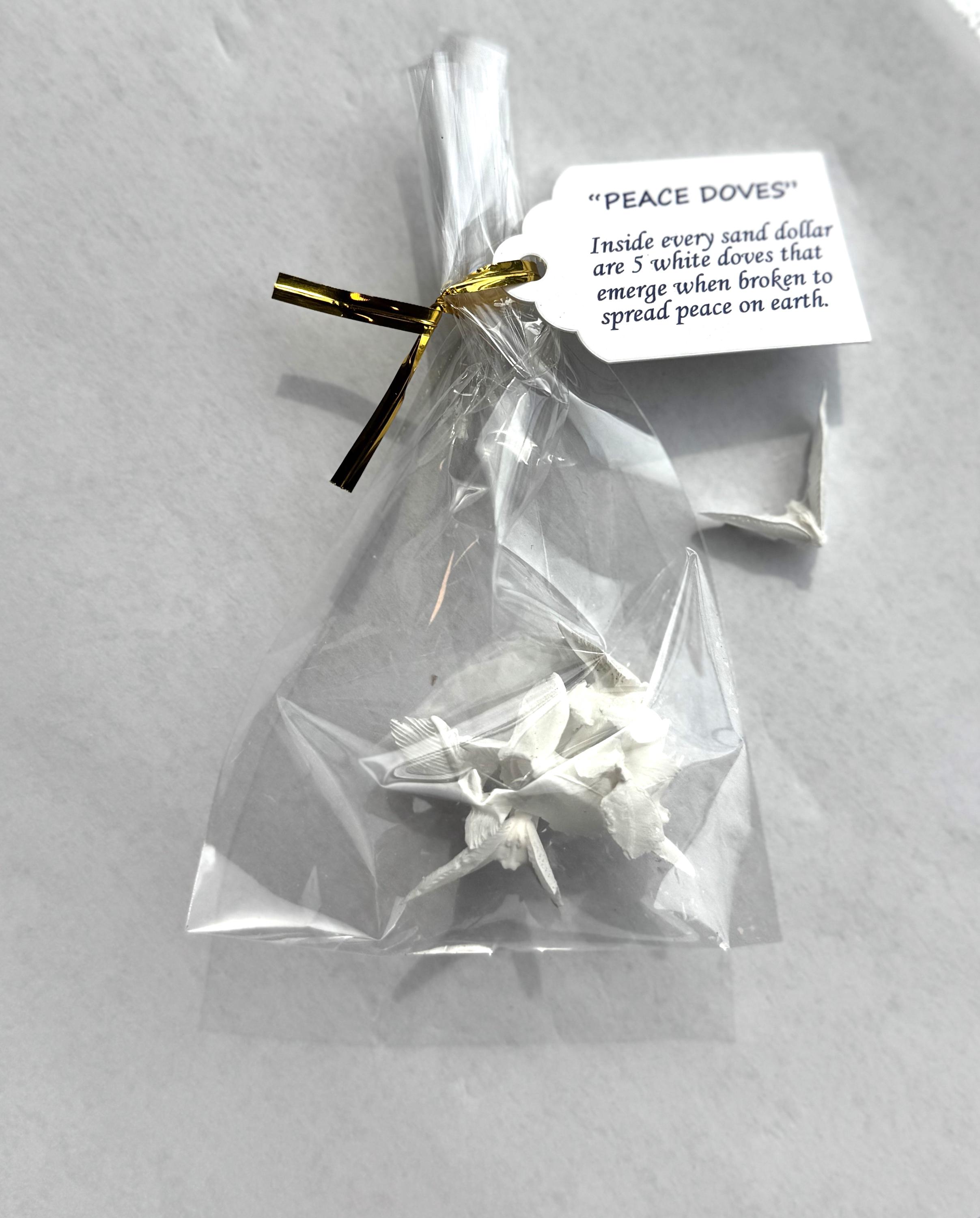 Sand Dollar Doves - Peace Doves - Extra Large Doves - Wedding Favors ...