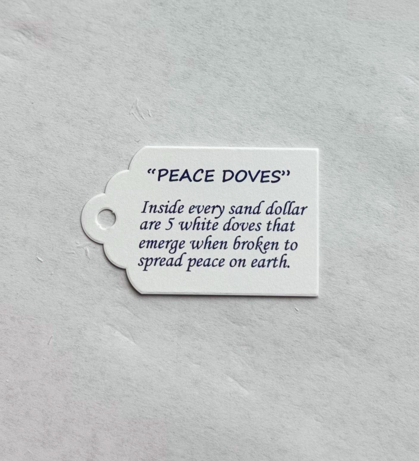 Sand Dollar Doves - Peace Doves - Extra Large Doves - Wedding Favors ...