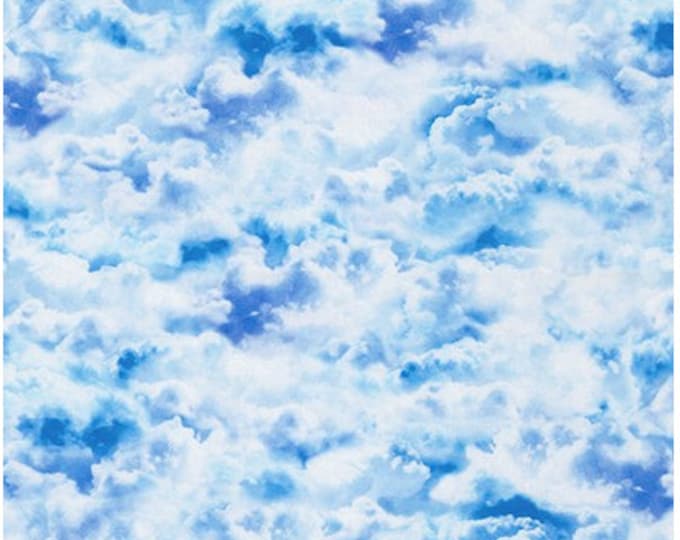 Elizabeth Studio Landscape Medley Billowy Clouds in Dark Blue Sky ...