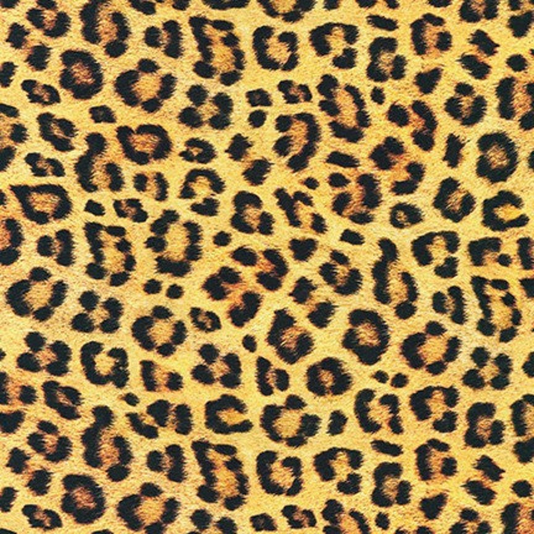 Leopard Cotton Animal Kingdom - Animal Print - Robert Kaufman - Cotton ...
