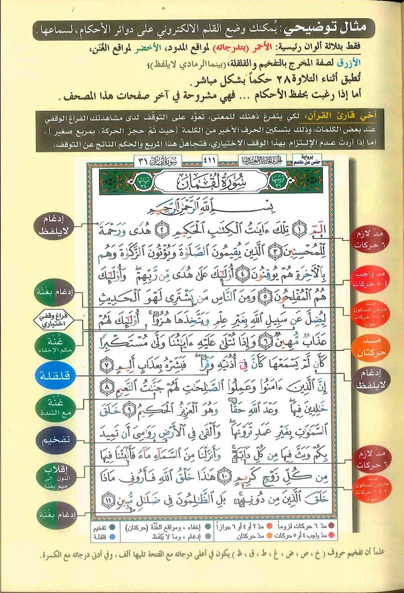 Tajweed Quran - Color Coded Arabic Only Large 17x24cm DM Delux - Etsy
