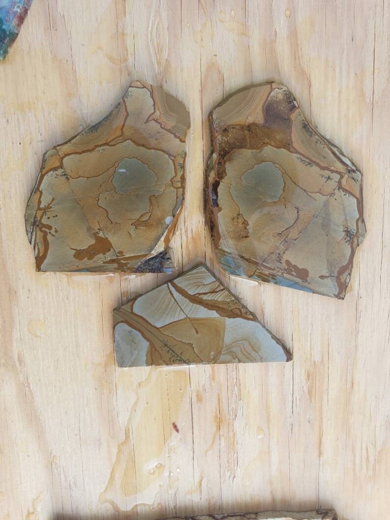 Picture Jasper Slabs for Cabbing or Display Lot 3 Slices Estate Old ...