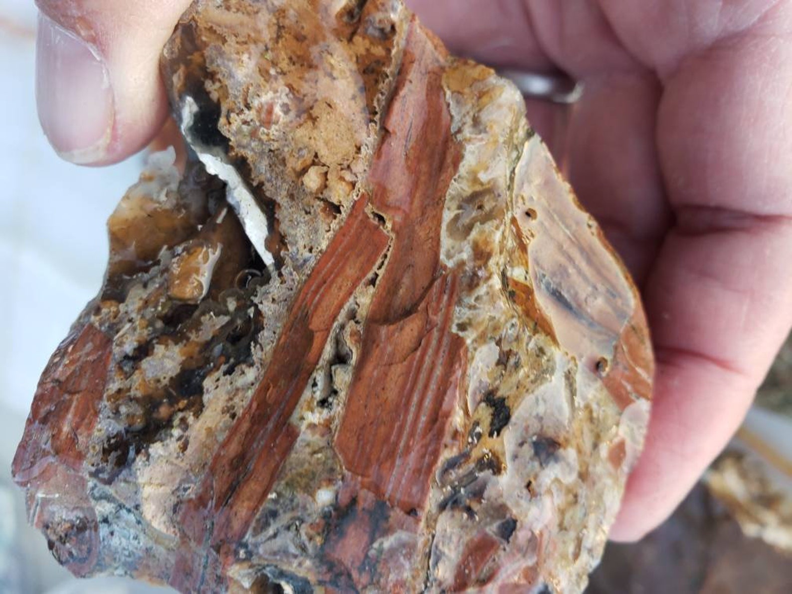 Eagle Rock Moss Plume Agate Red Jasper Rhyolite Rough Rocks for Slab ...
