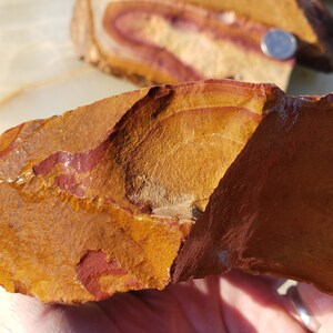 Lot Wonder Stone Rhyolite Cutting Rough Medium Rocks for Slab Cab 12 ...