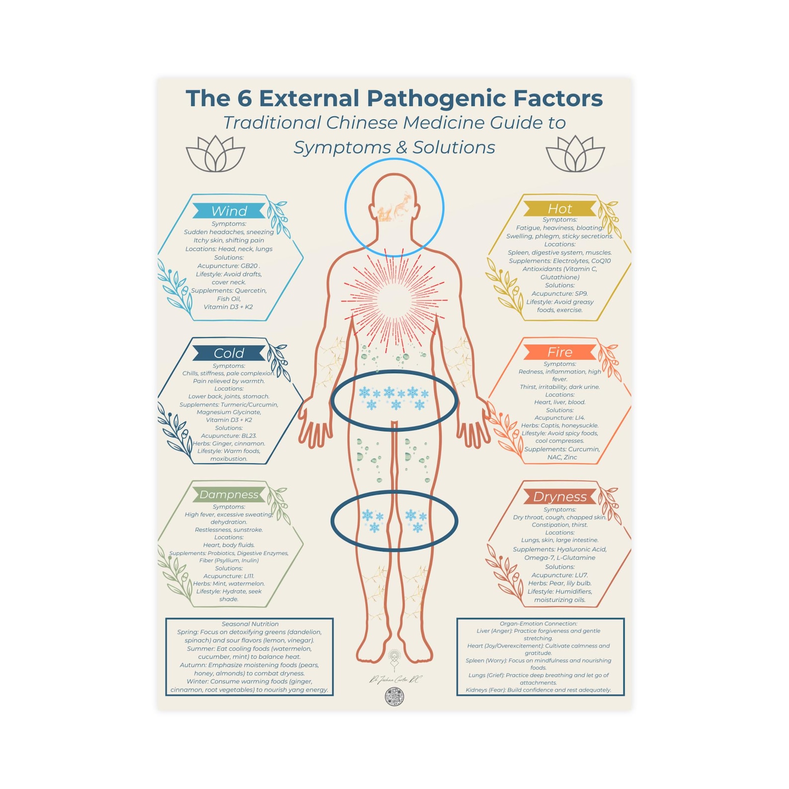 Holistic Health Vertical Poster 18x24, Traditional Chinese Medicine ...