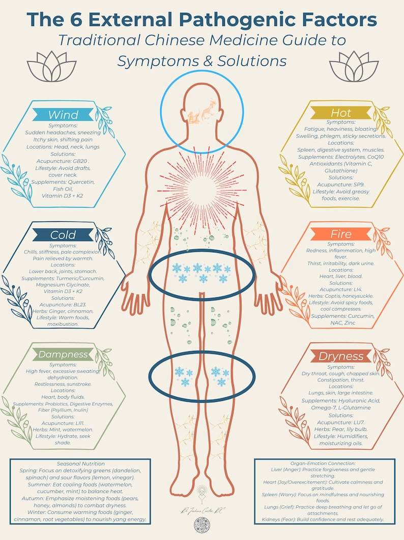 6 External Pathogenic Factors of Chinese Medicine - Digital Art/poster ...