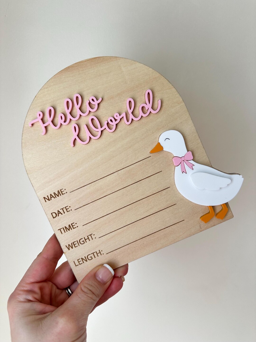 Goose Birth Announcement Sign: Personalized Newborn Photo Prop With ...