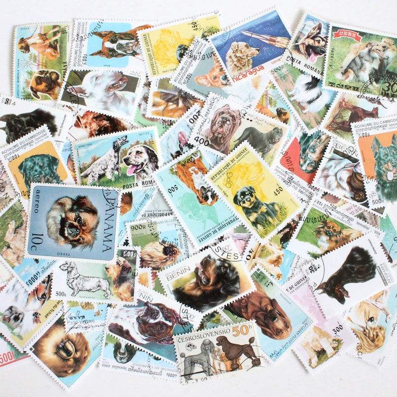 Dog Stamp - Etsy