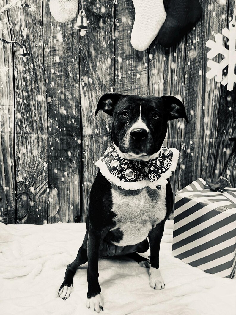 Custom 3D Printed Photo, Raised Detail, Textured Black and White ...