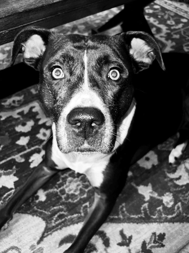 Custom 3D Printed Photo, Raised Detail, Textured Black and White ...