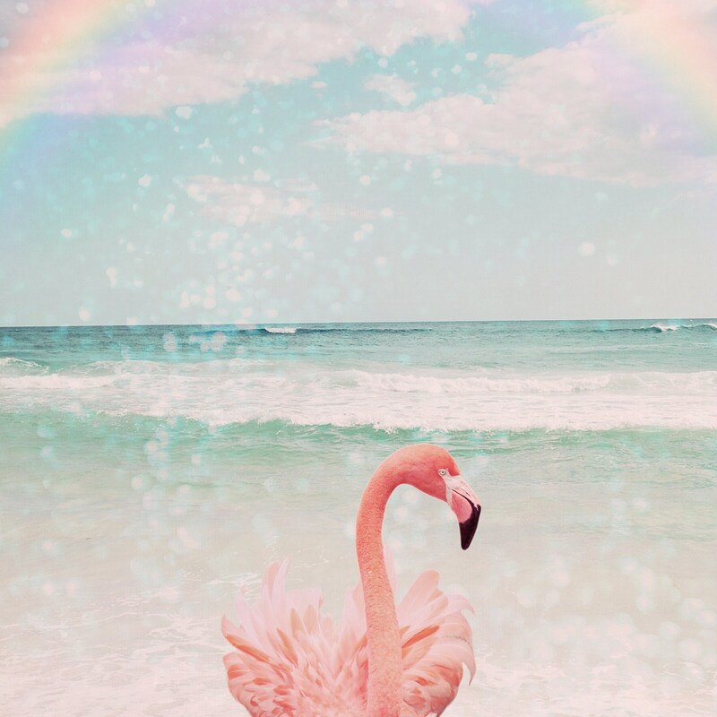 Flamingo Home Decor - Etsy