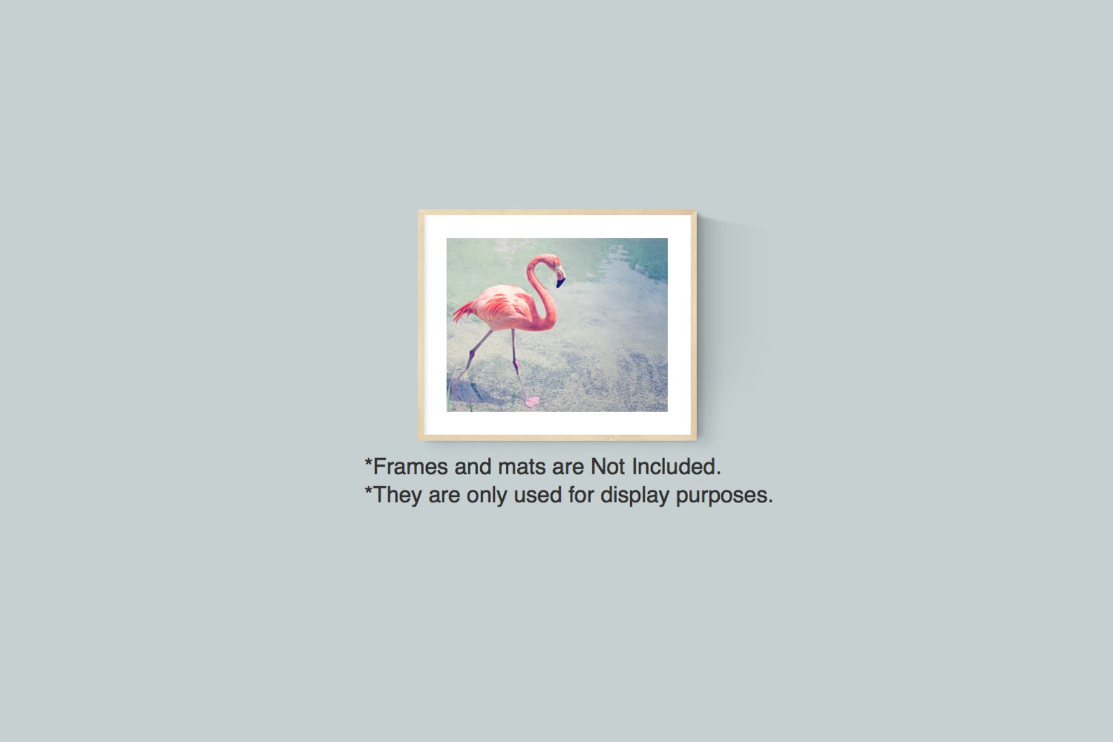Flamingo Pictures Bathroom Coral Wall Art Tropical Bird Art - Etsy