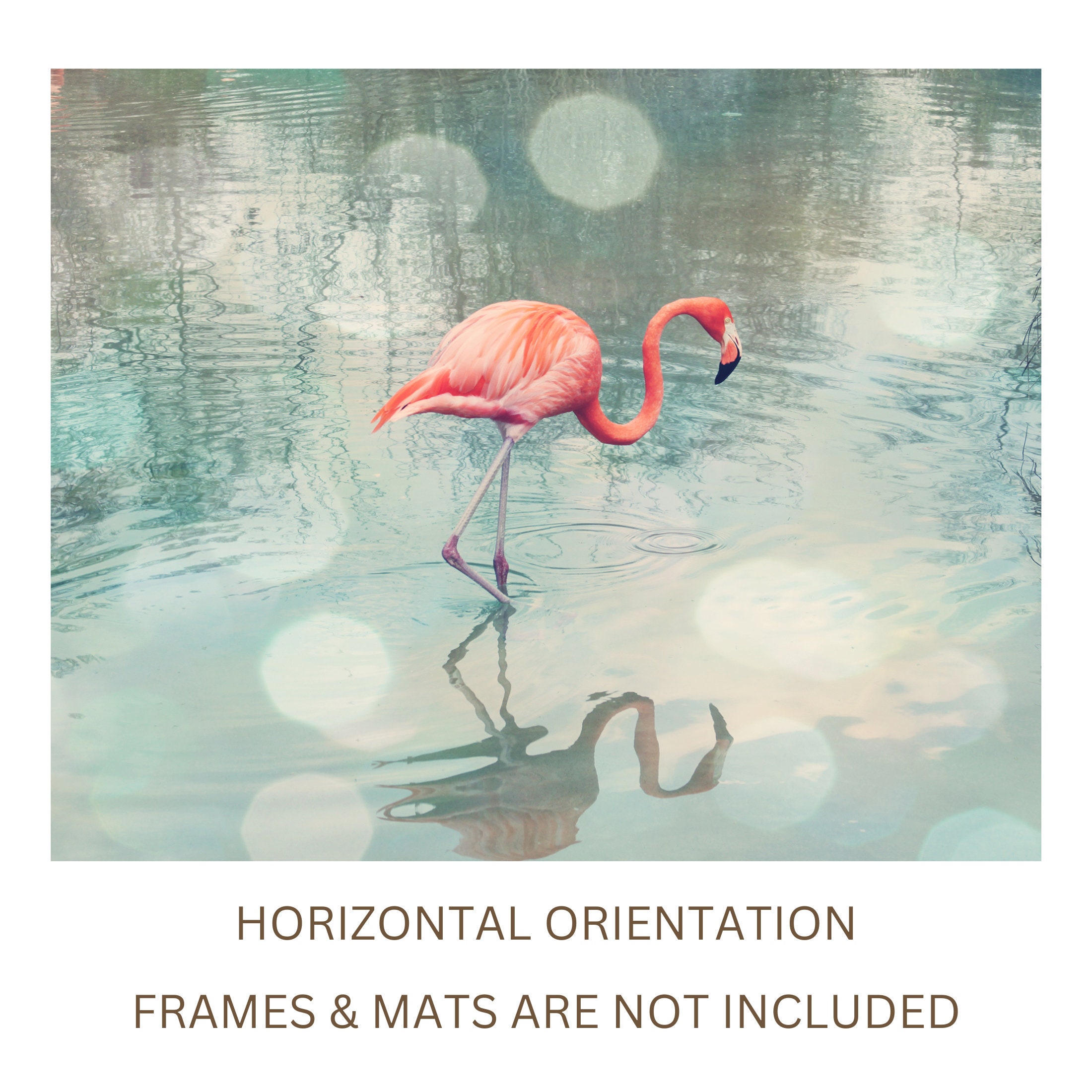 Pink Flamingo Art Print: Coastal Beach Decor, Tropical Nursery Wall Art ...