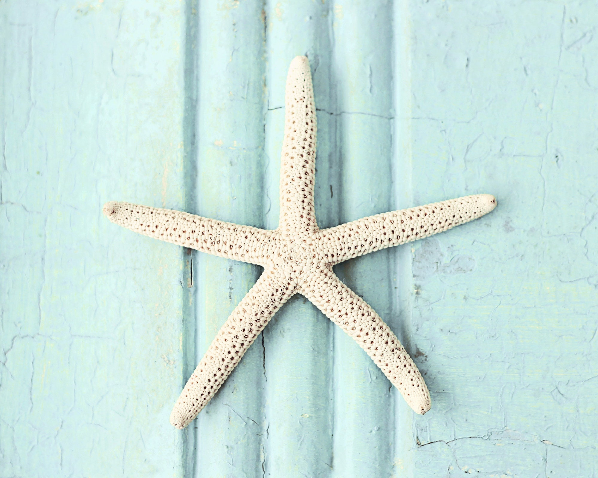 Mermaid starfish print set of 2 under the sea artwork coastal | Etsy