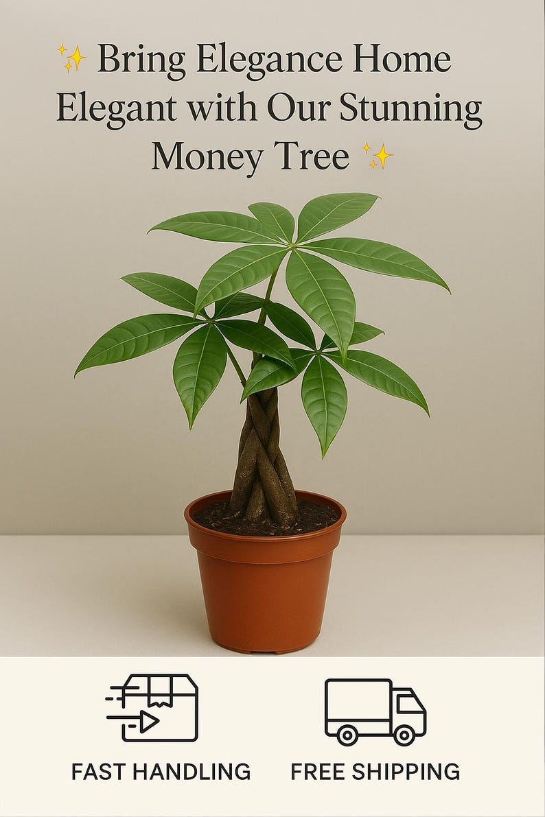 18” Braided Money Tree - Symbol of Prosperity & Good Fortune – Perfect ...