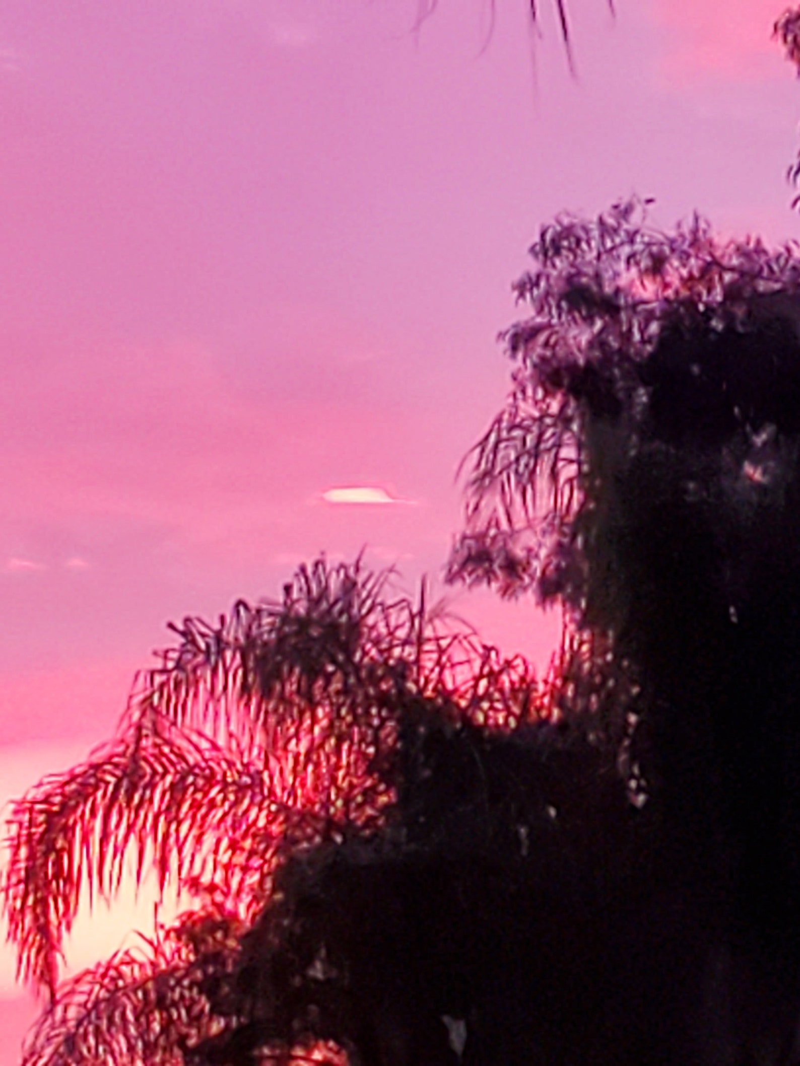 Modern Kitchen Wool Pot Holder Handmade Oven Hot Pad Artisan - Etsy