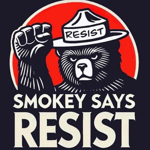 Smokey Bear “resist” Sticker – Stand for Public Lands & Environmental ...
