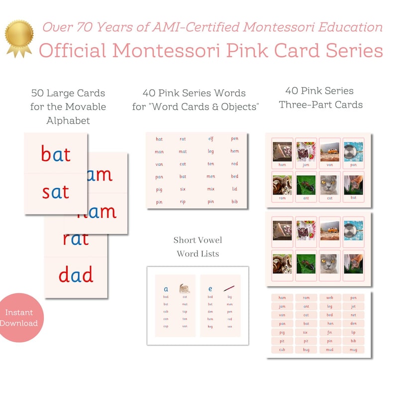 Montessori Cvc Cards - Etsy
